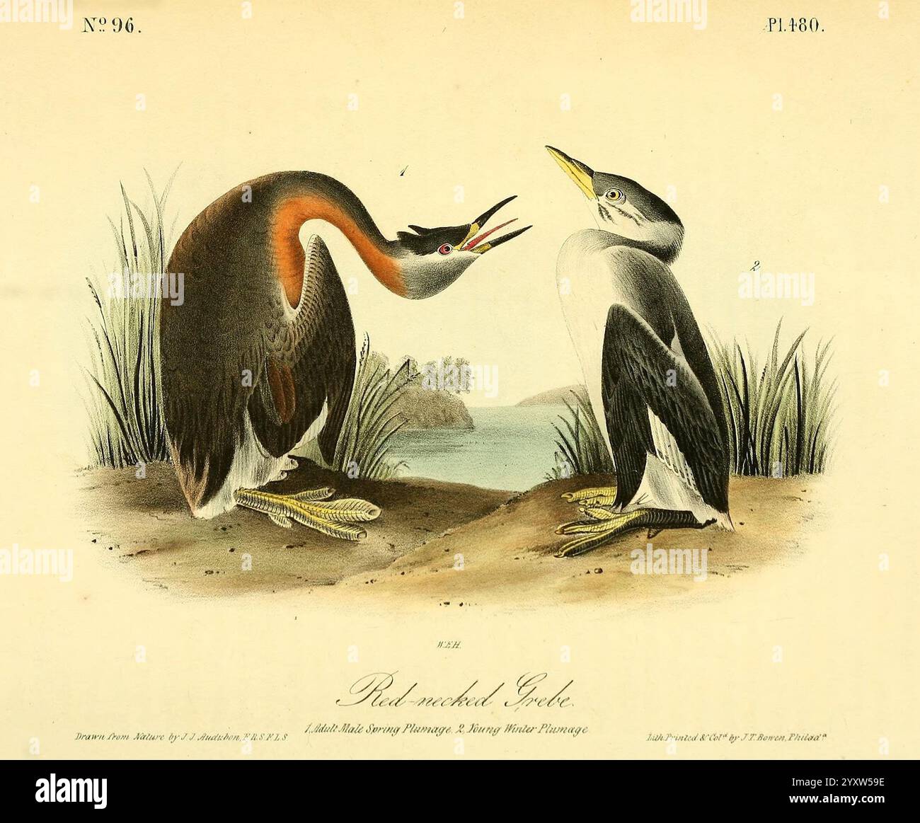 Captured mid call hi-res stock photography and images - Alamy