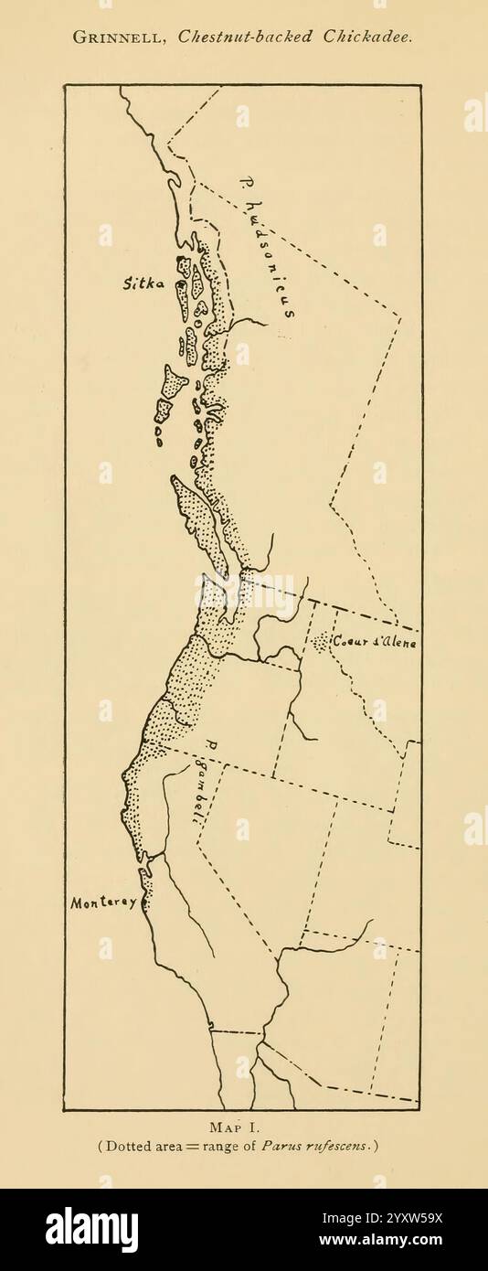 The Auk Washington D.C. American Ornithologists' Union etc. 1884- birds ...