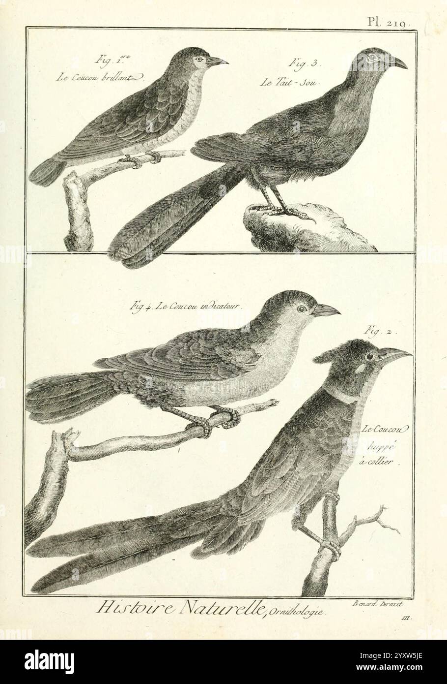 Tableau, encyclopédique, et, méthodique, des, trois, règnes, de, la ...