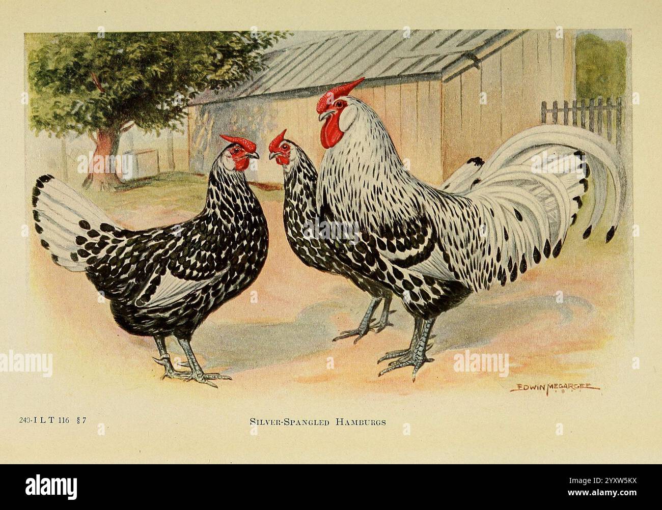 Simple farm scene features hi-res stock photography and images - Alamy