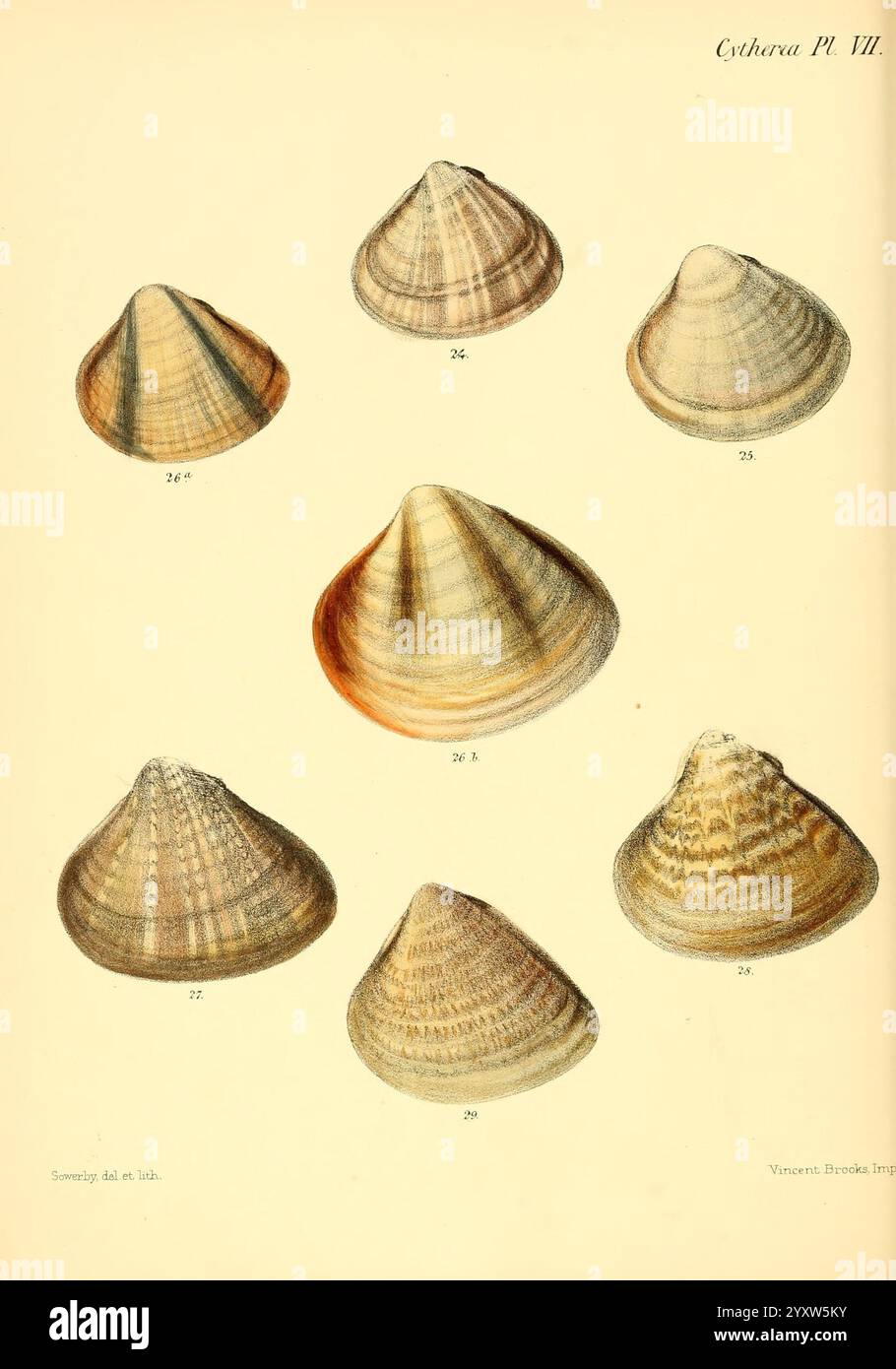 Smooth conical forms hi-res stock photography and images - Alamy