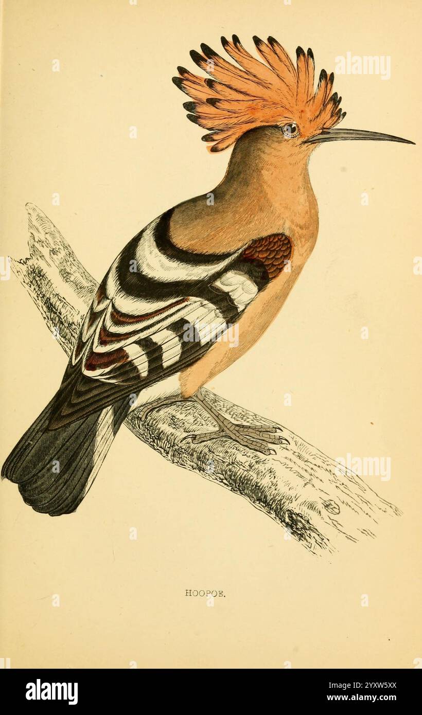 Stark whites hi-res stock photography and images - Alamy