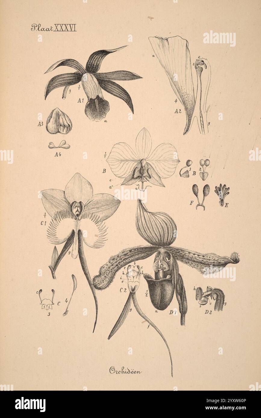 Labeled section displays different parts hi-res stock photography and ...