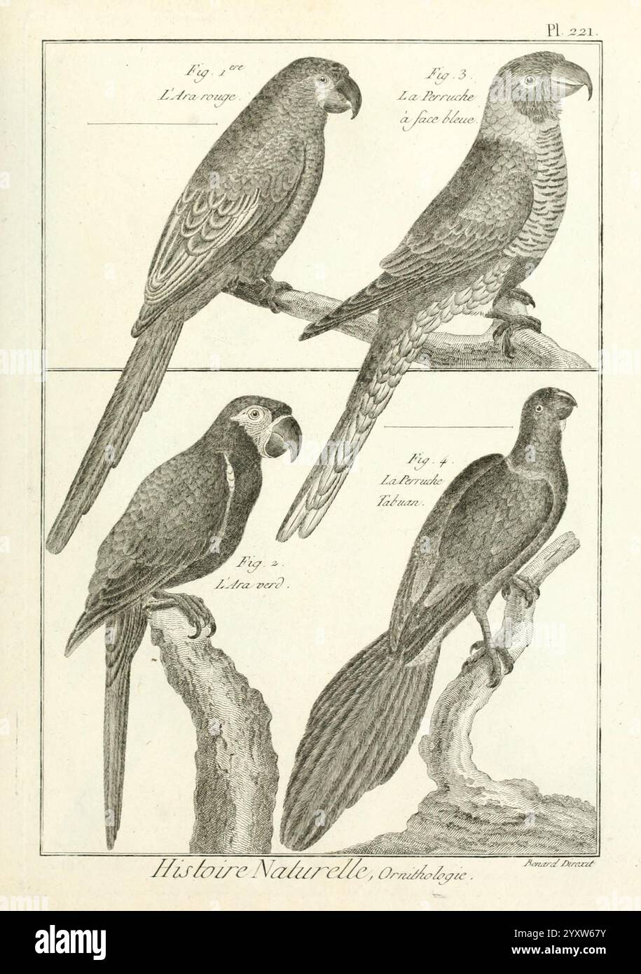 Tableau encyclopédique et méthodique des trois règnes de la nature A ...
