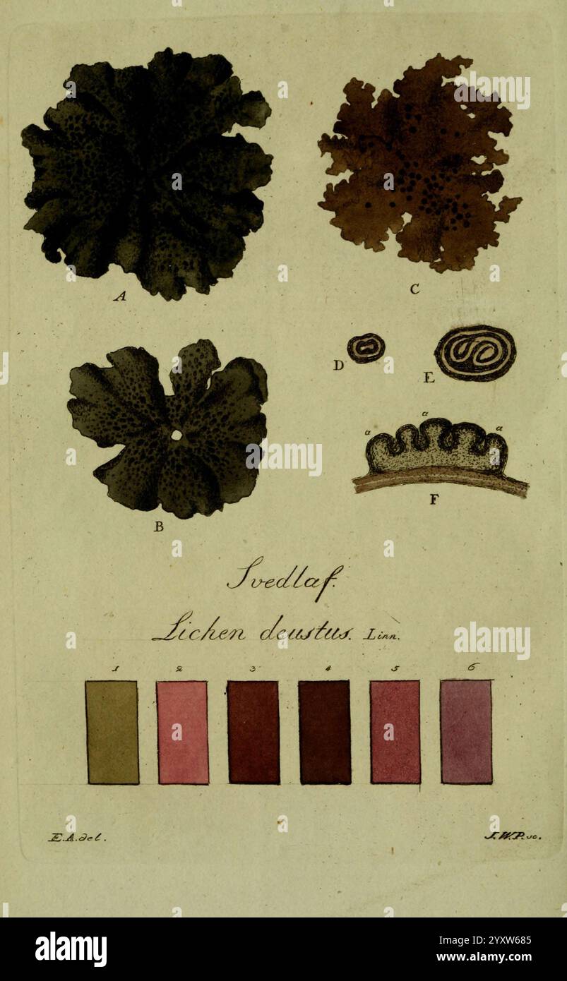 Identify different shapes hi-res stock photography and images - Alamy