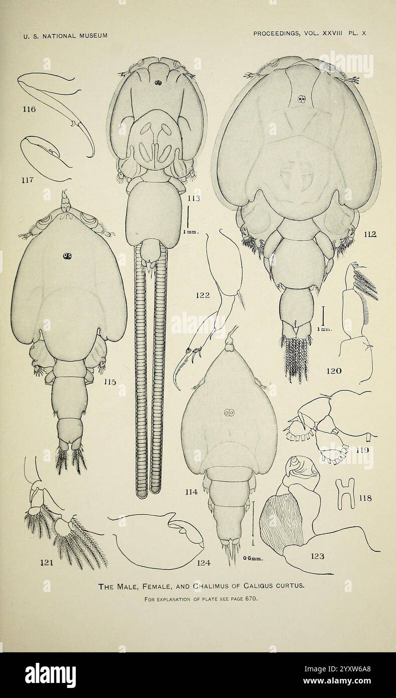 Identify various segments hi-res stock photography and images - Alamy
