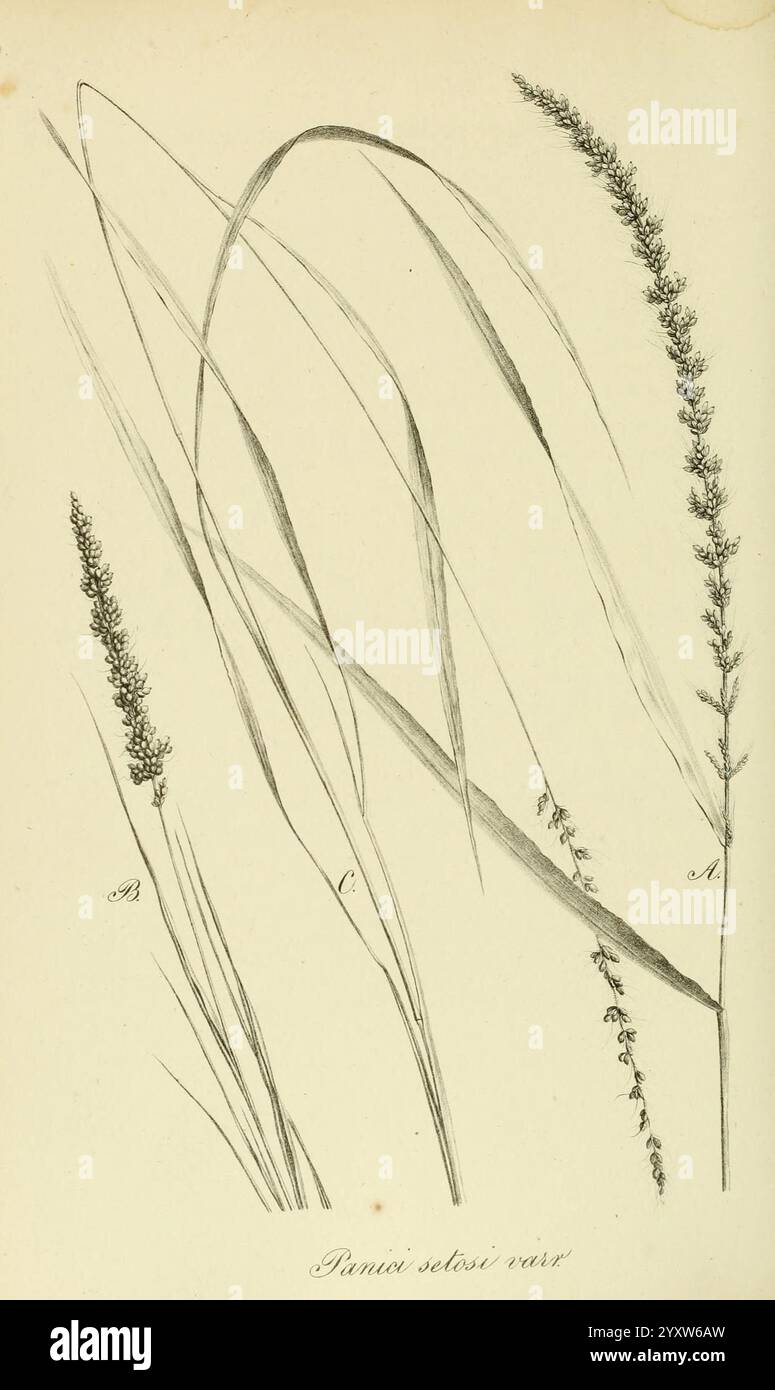 Labeled parts indicate hi-res stock photography and images - Alamy