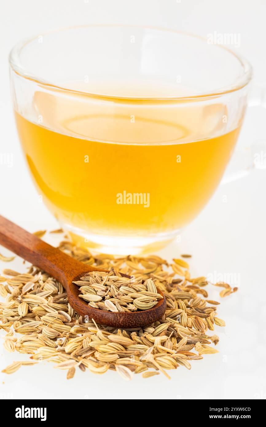 Foeniculum vulgare - Medicinal hot fennel drink Stock Photo - Alamy
