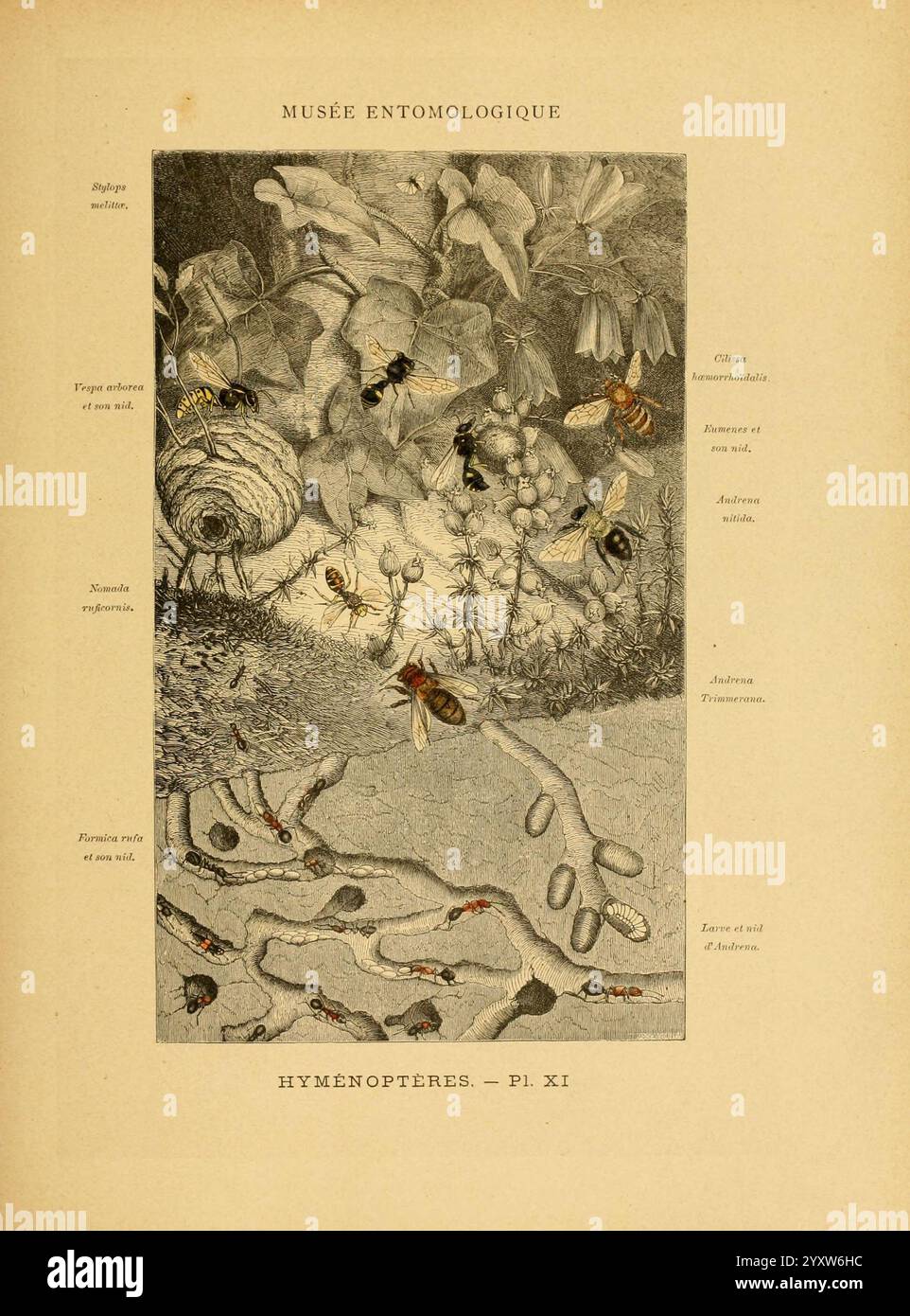 Detailed depiction highlights different aspects hi-res stock ...