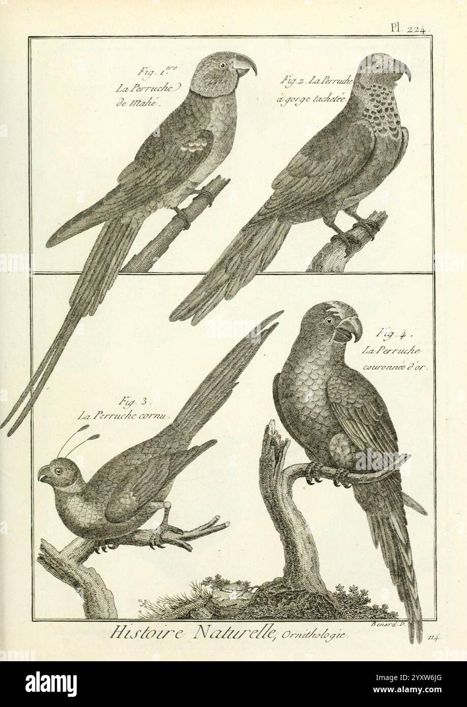 Tableau encyclopédique et méthodique des trois règnes de la nature, A ...