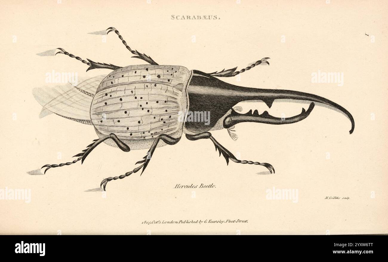 Heightened sensory capability hi-res stock photography and images - Alamy