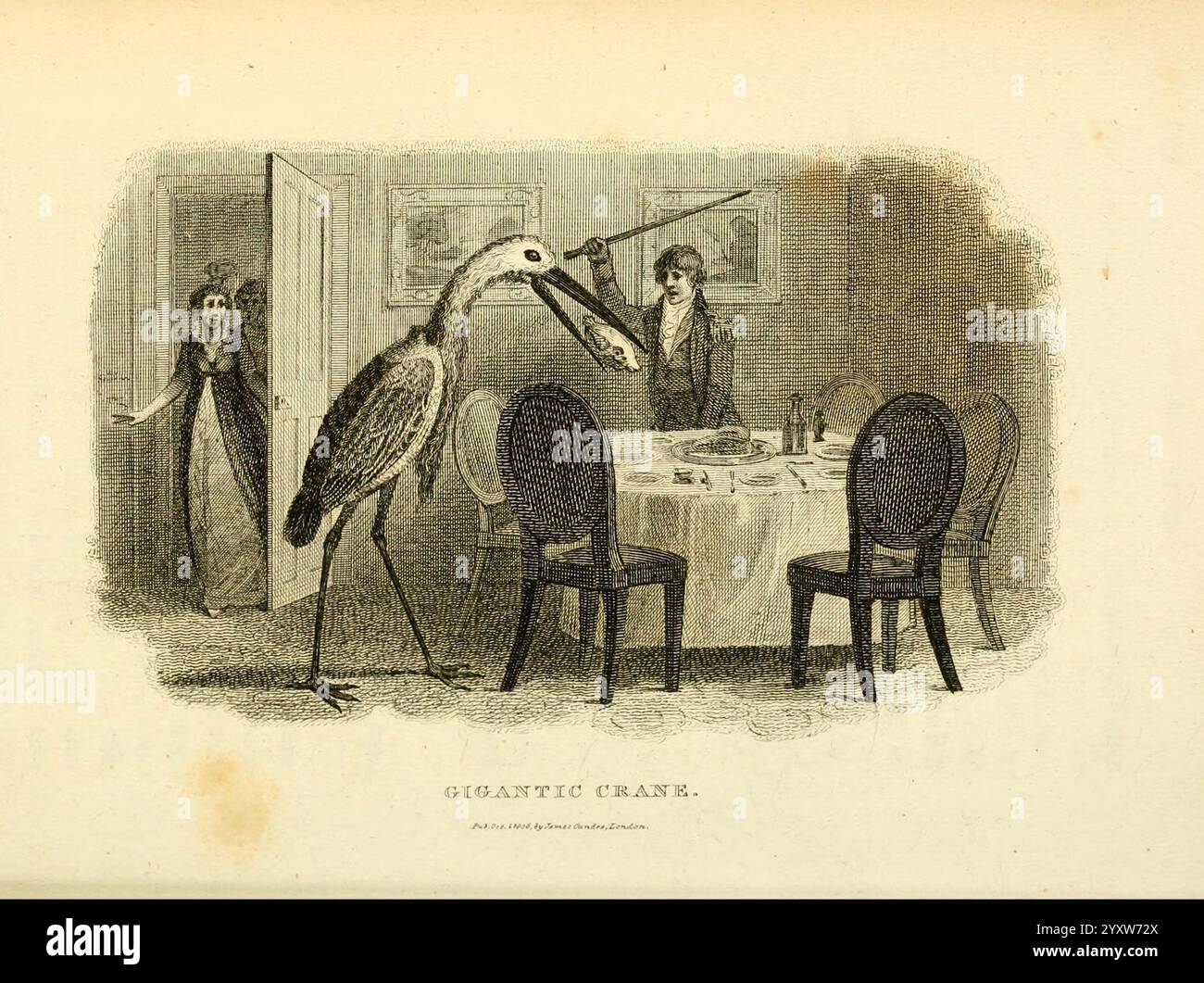 Beak suggestive hi-res stock photography and images - Alamy