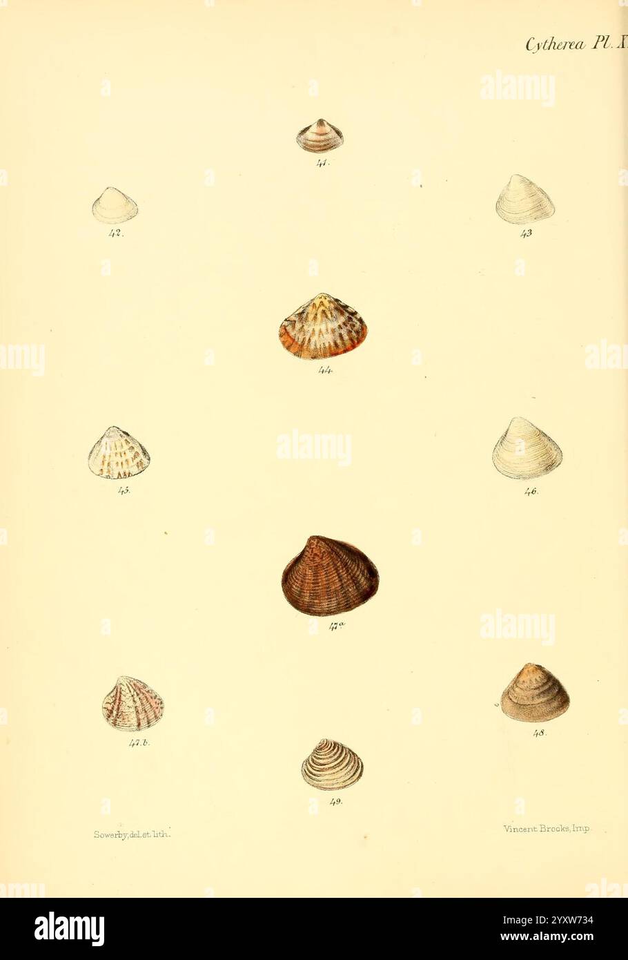 Indicating individual identification hi-res stock photography and ...