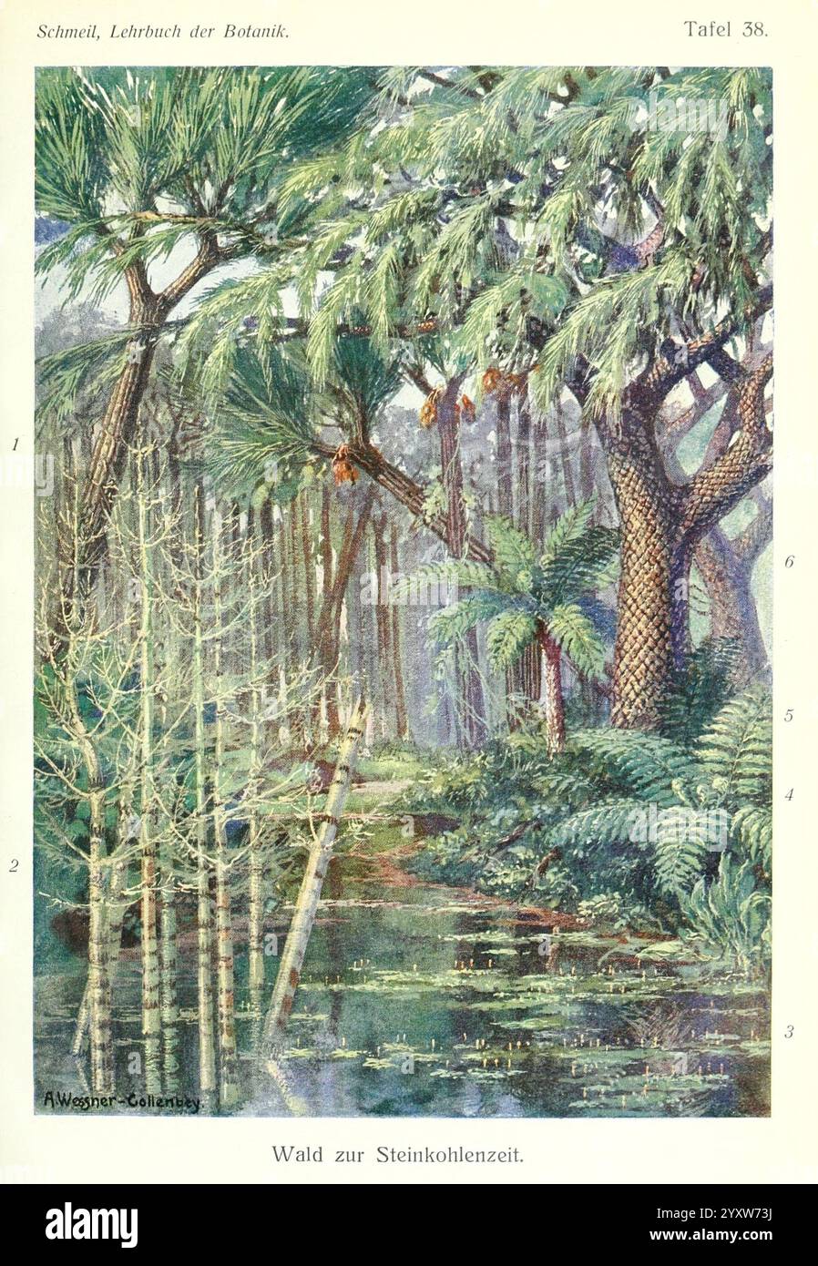 Prehistoric forest scene depicting hi-res stock photography and images ...