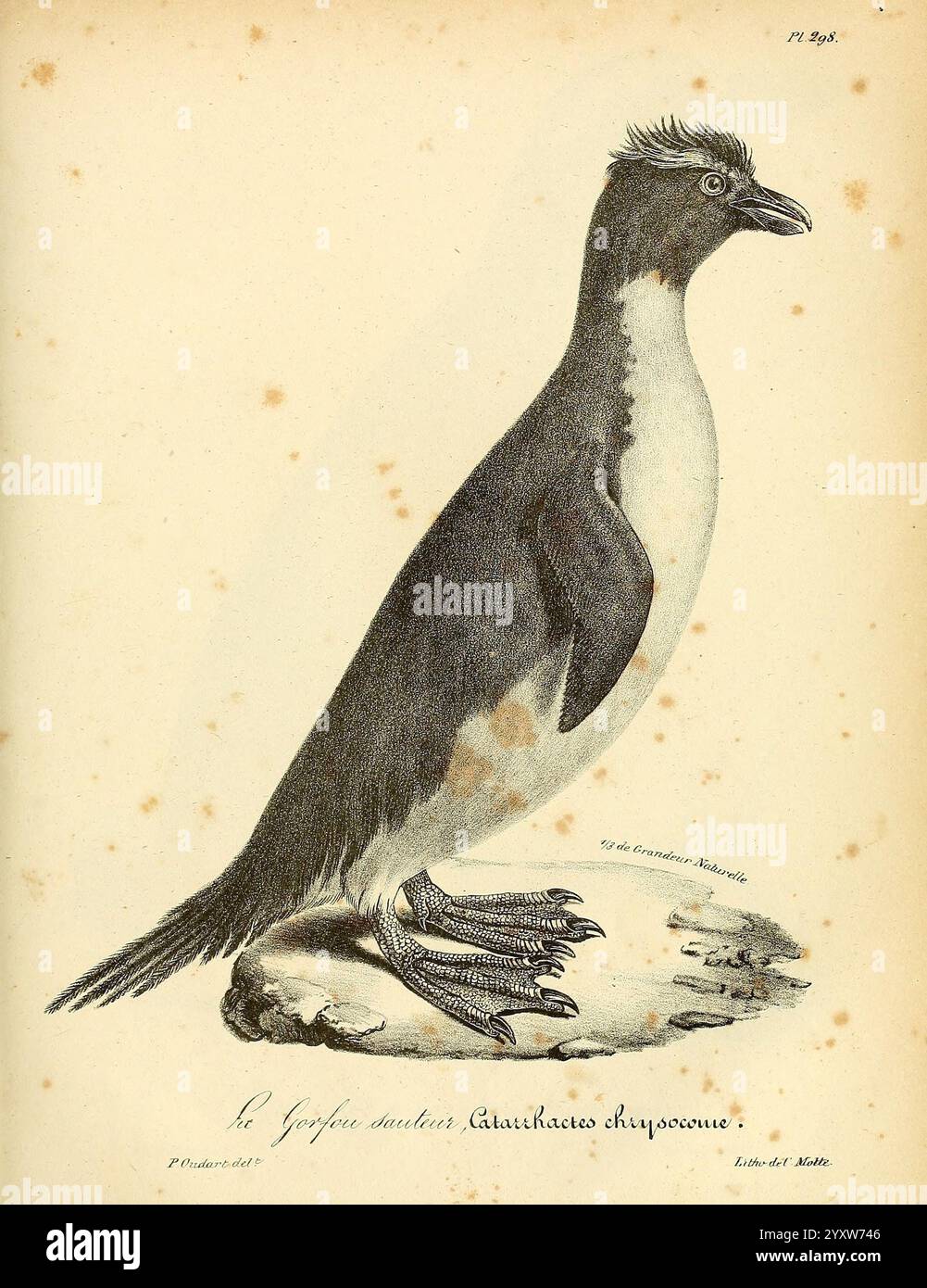 Border enhance hi-res stock photography and images - Alamy