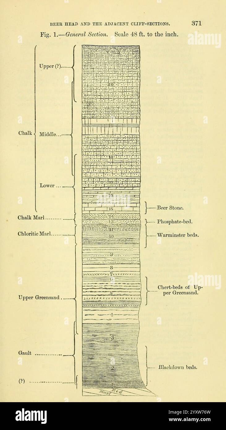 The Quarterly Journal of the Geological Society of London, v. 30 (1874 ...