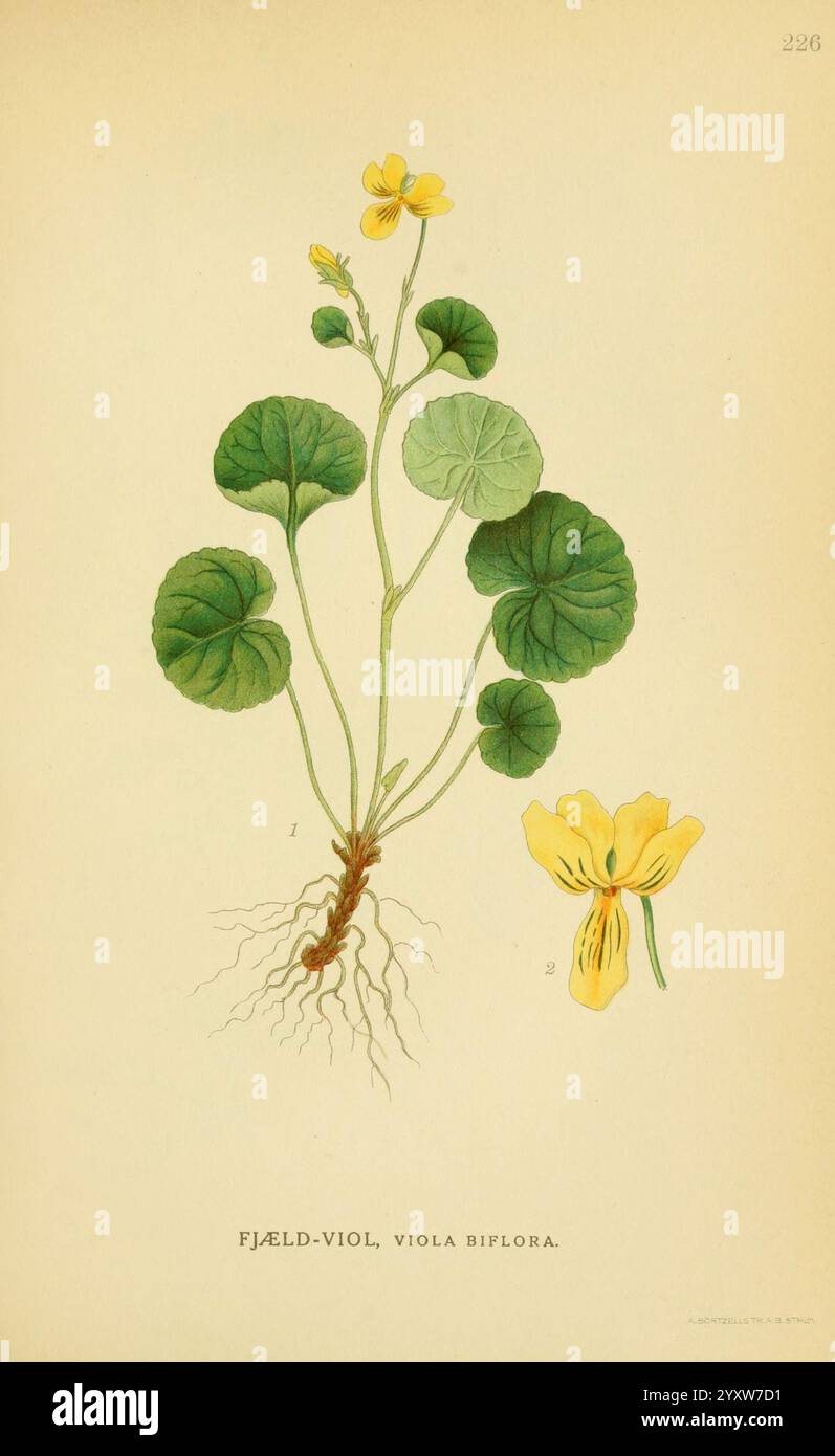 Detailed renderings accentuate hi-res stock photography and images - Alamy