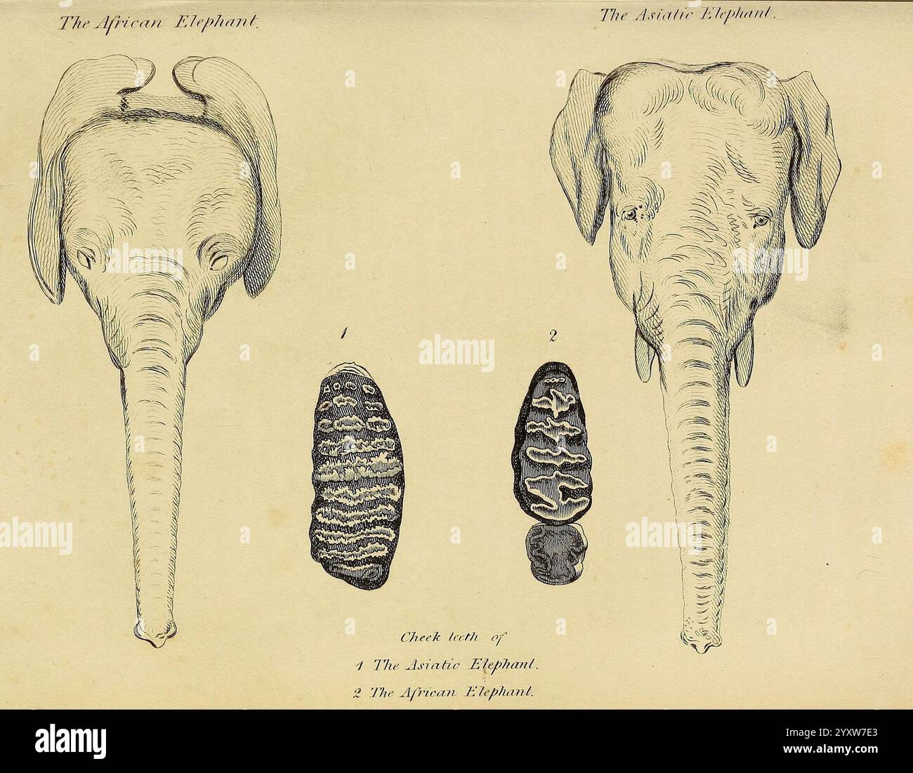Numbered notations hi-res stock photography and images - Alamy