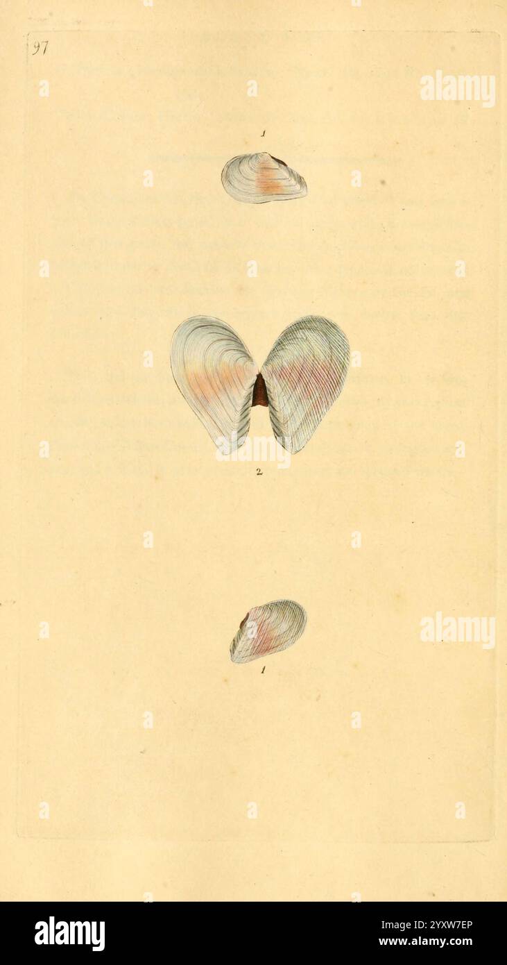 Slightly flared structure hi-res stock photography and images - Alamy