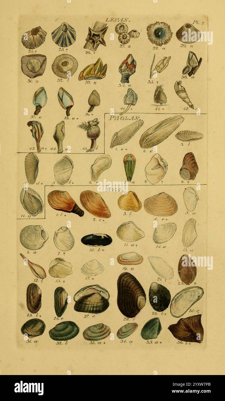 Systematic cataloging reflects hi-res stock photography and images - Alamy