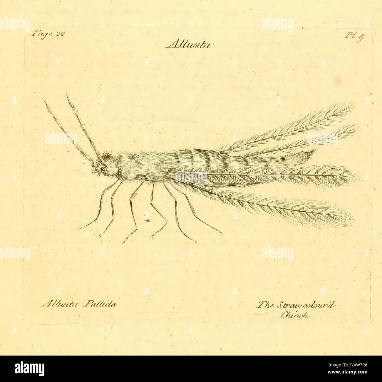 Pater noster row ridley st hi-res stock photography and images - Alamy