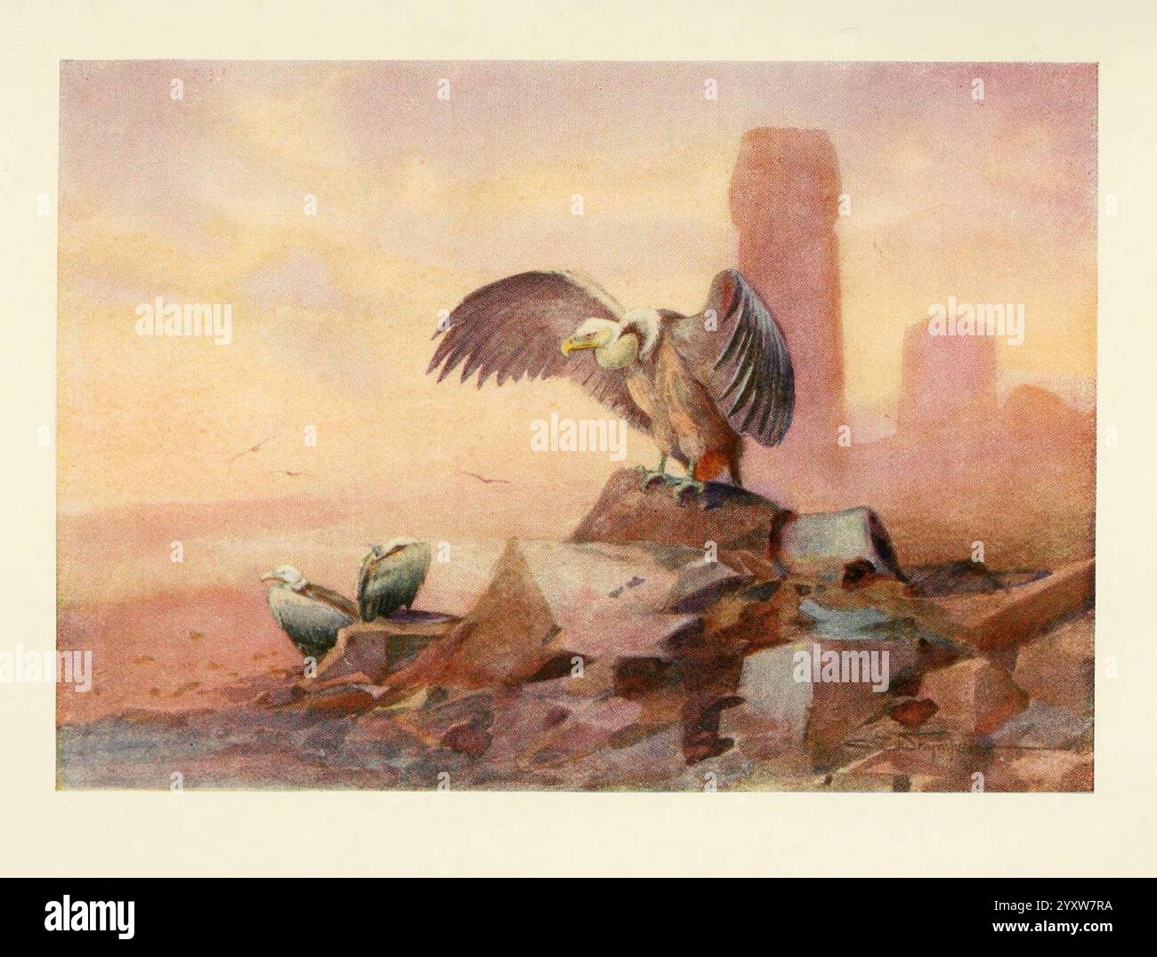 Color palette evokes hi-res stock photography and images - Alamy