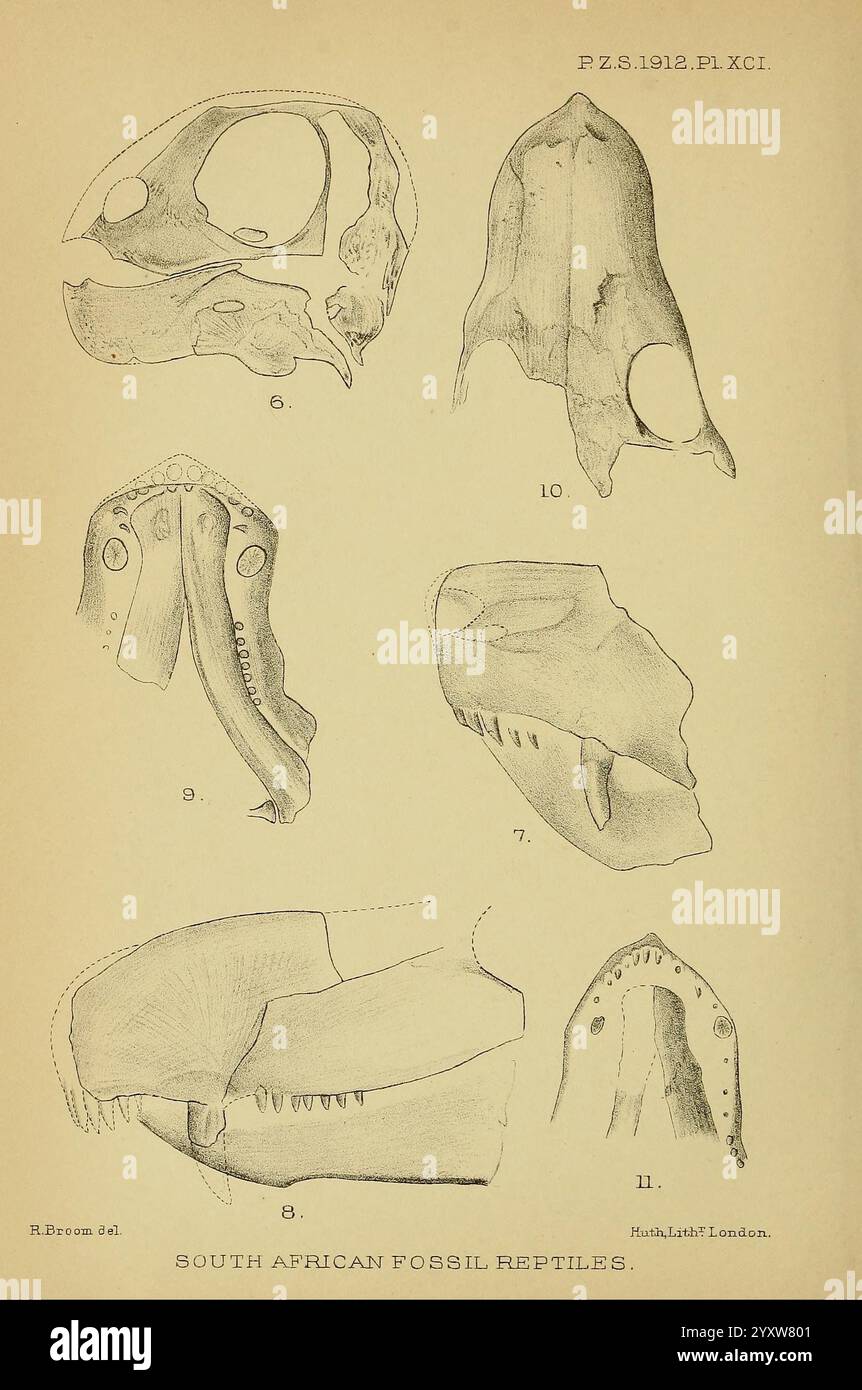 Visual documentation underlines hi-res stock photography and images - Alamy