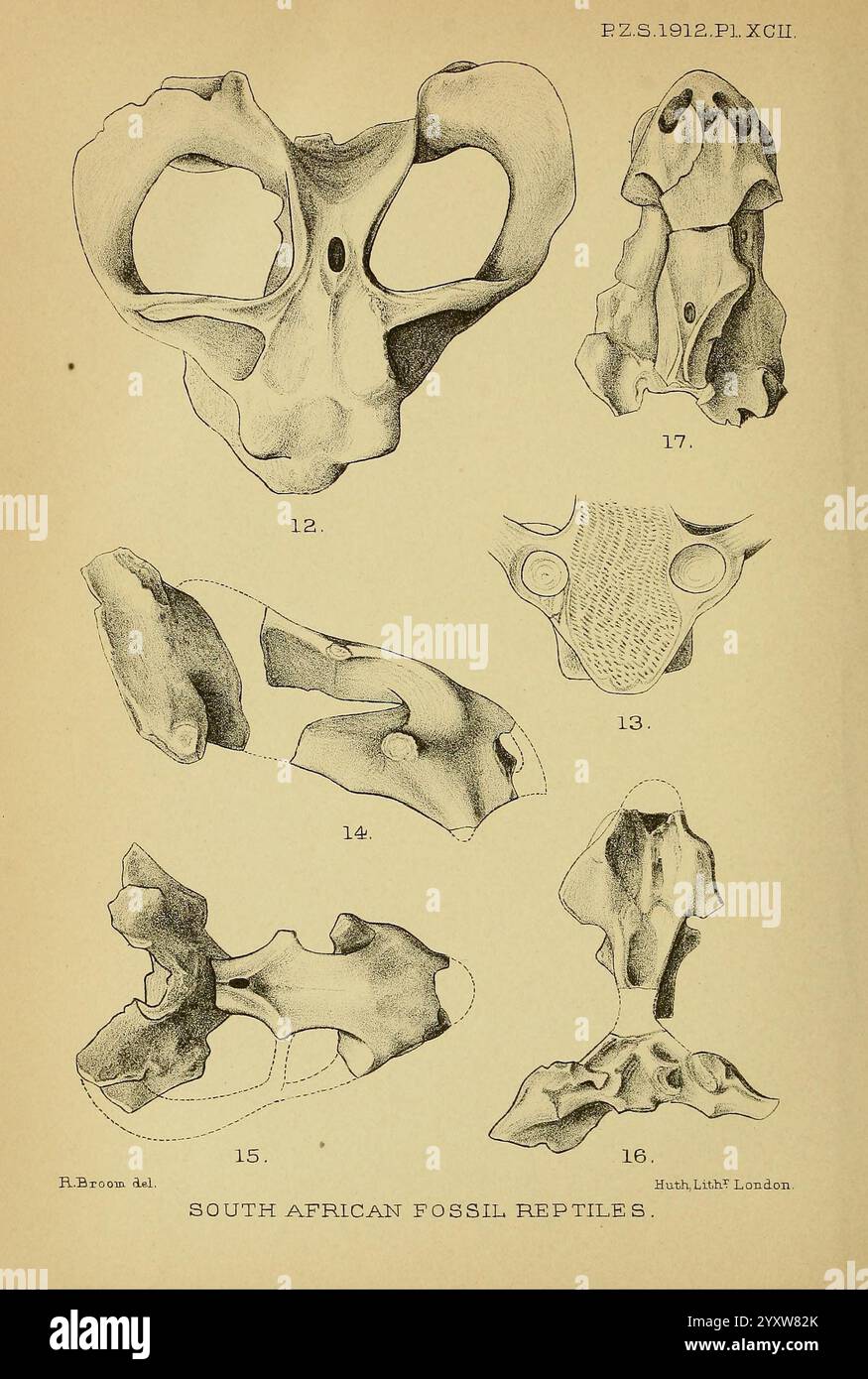 Proceedings of the Zoological Society of London, London, Academic Press ...