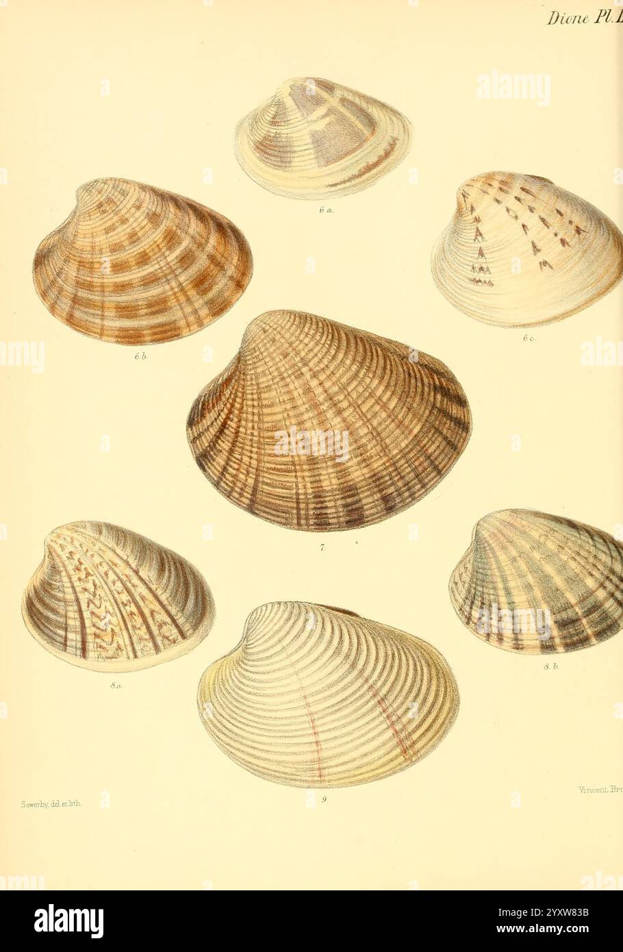 Numbered labels beside hi-res stock photography and images - Alamy