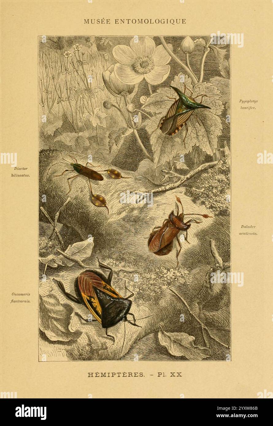 Adding educational context hi-res stock photography and images - Alamy