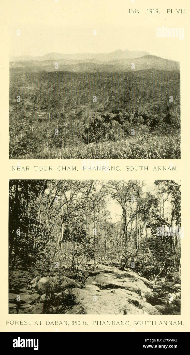 650 feet elevation hi-res stock photography and images - Alamy