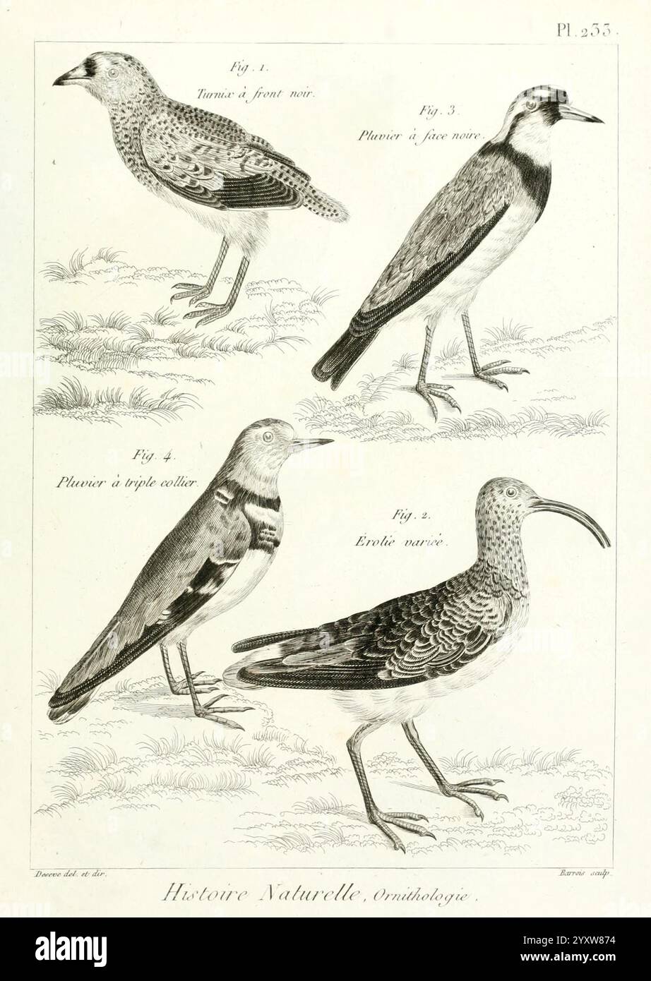 Tableau encyclopédique et méthodique des trois règnes de la nature, A ...