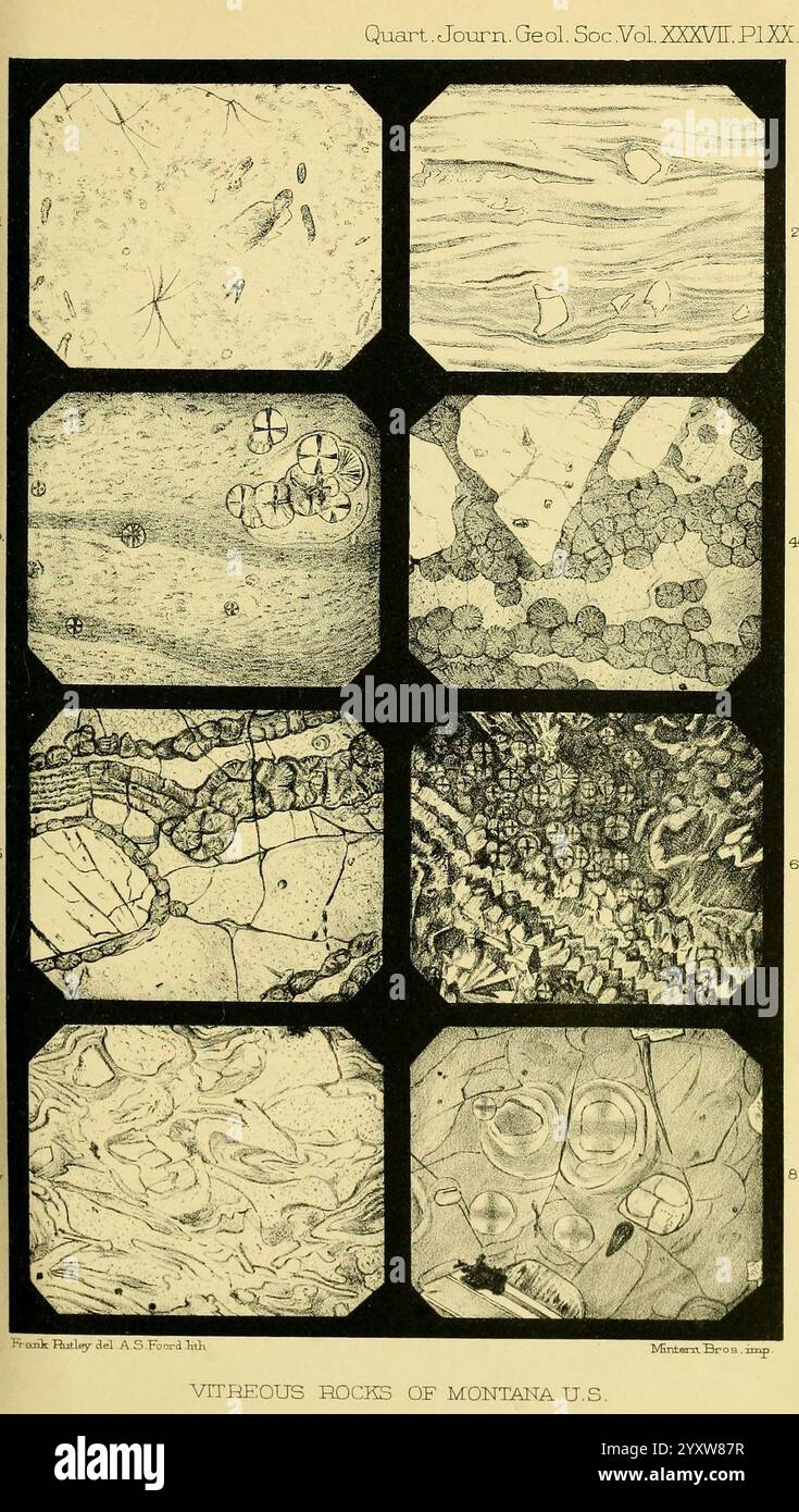 The Quarterly Journal of the Geological Society of London, v. 37 (1881 ...