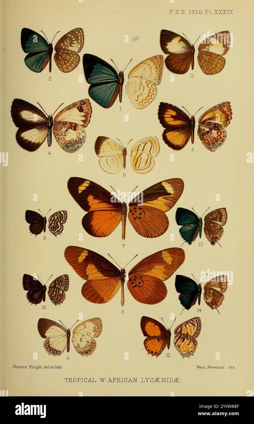 Various habitats across west africa hi-res stock photography and images ...