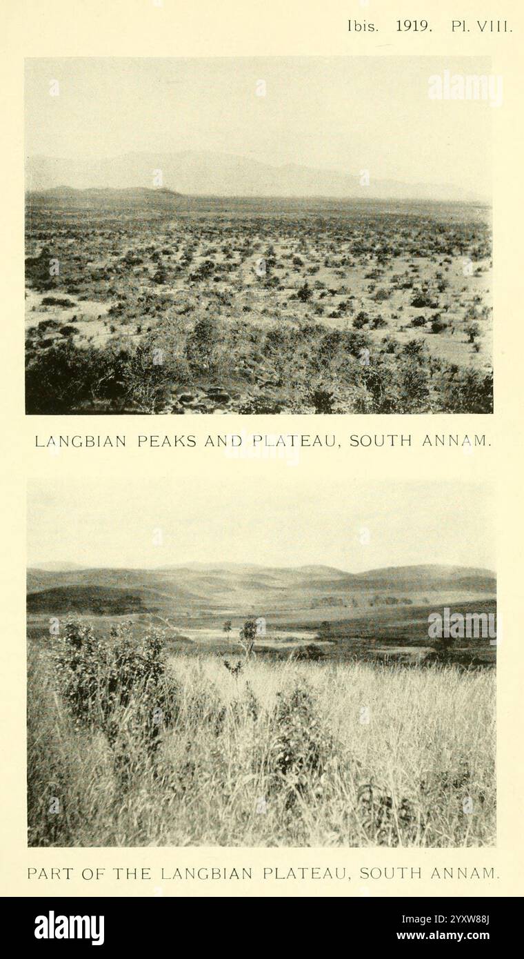 Featuring gentle slopes hi-res stock photography and images - Alamy