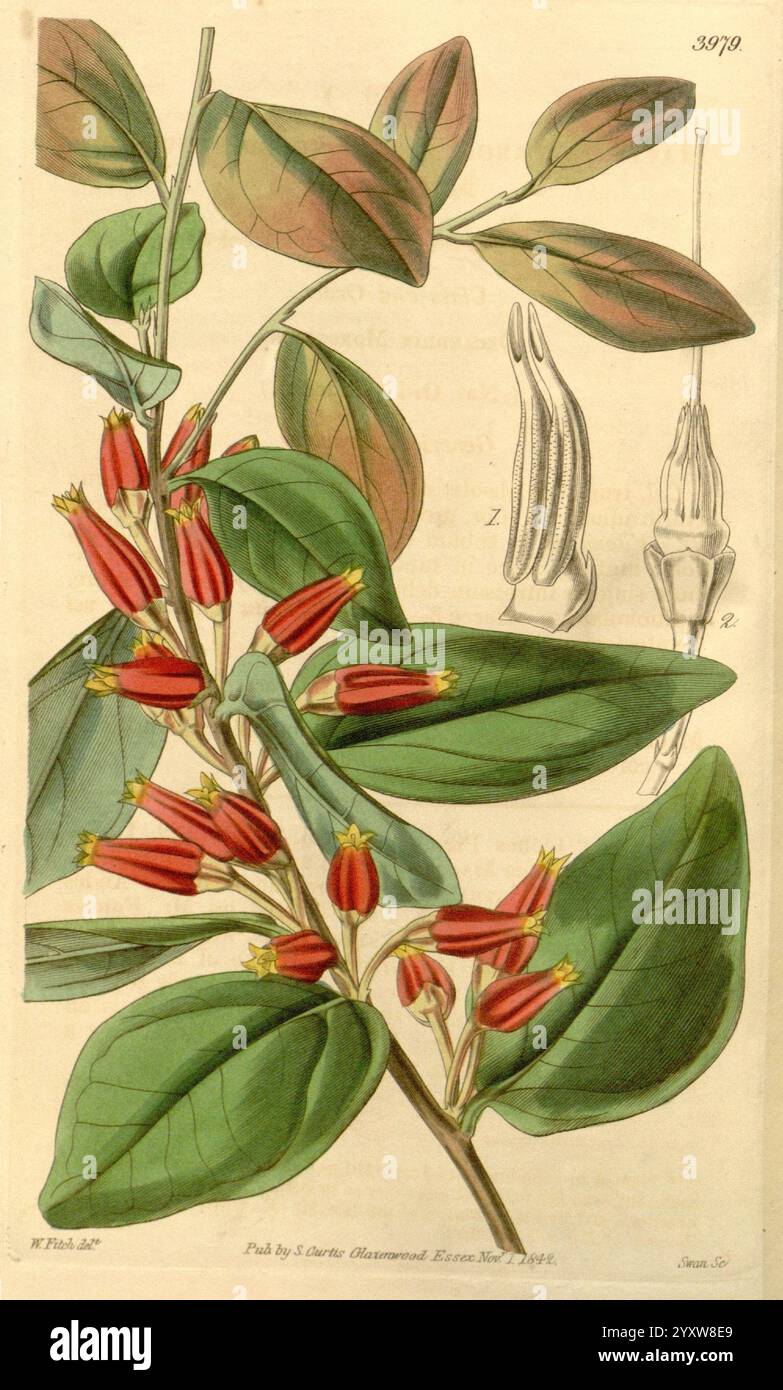 Two additional drawings hi-res stock photography and images - Alamy