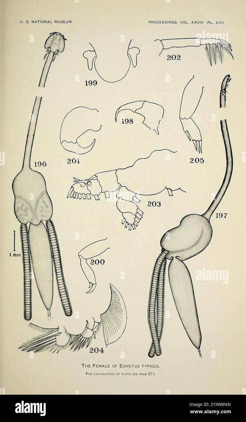 Labeled component showcases hi-res stock photography and images - Alamy