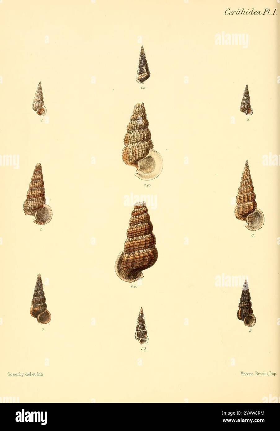 Subtle reference number hi-res stock photography and images - Alamy