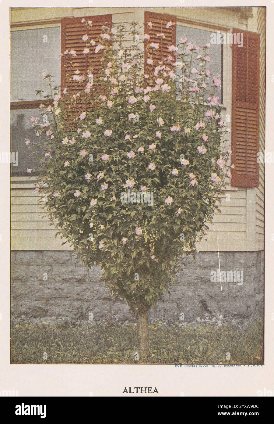 Beautifully shaped stone adorned hi-res stock photography and images ...