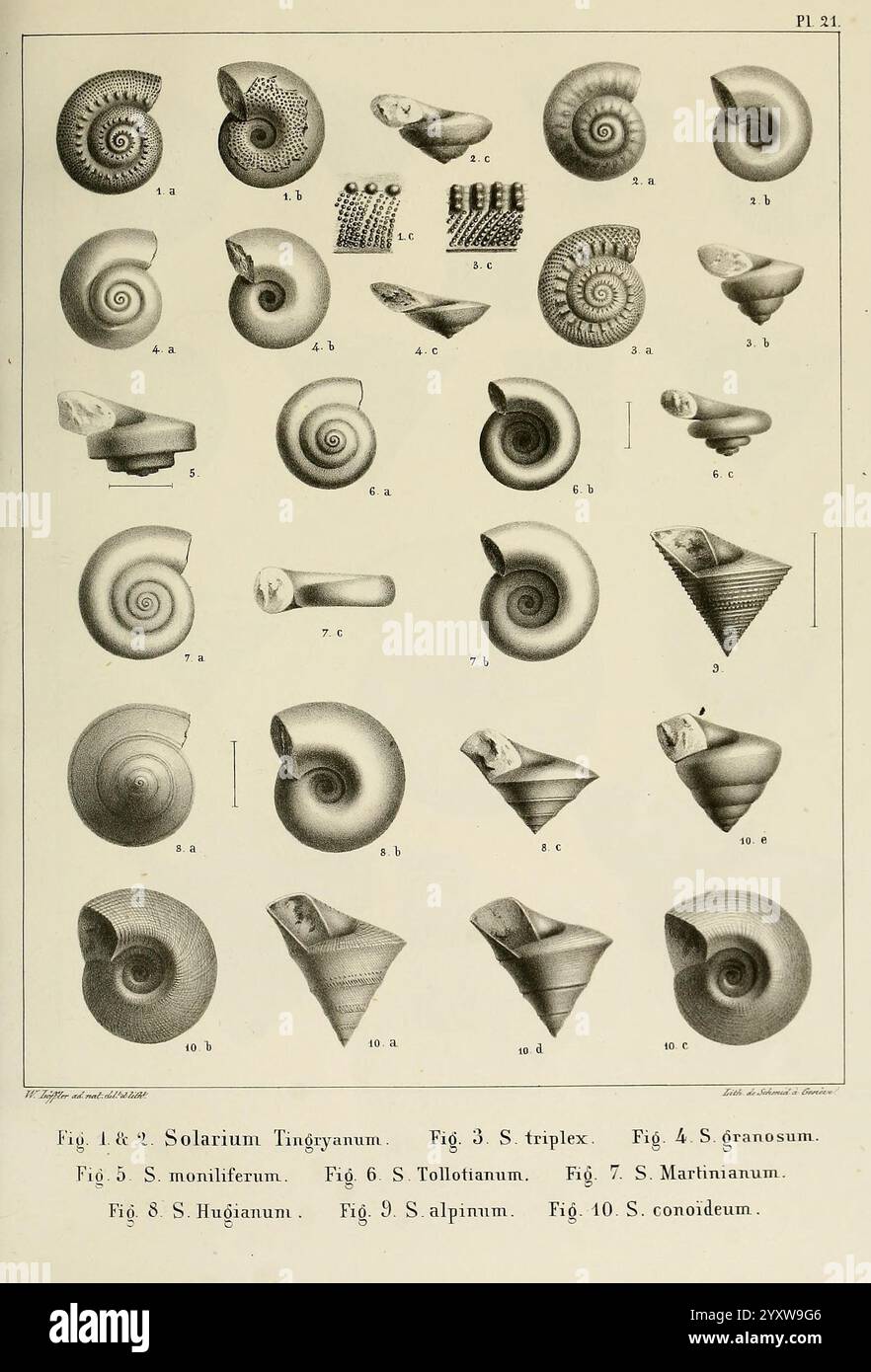 Visual diversity showcases hi-res stock photography and images - Alamy