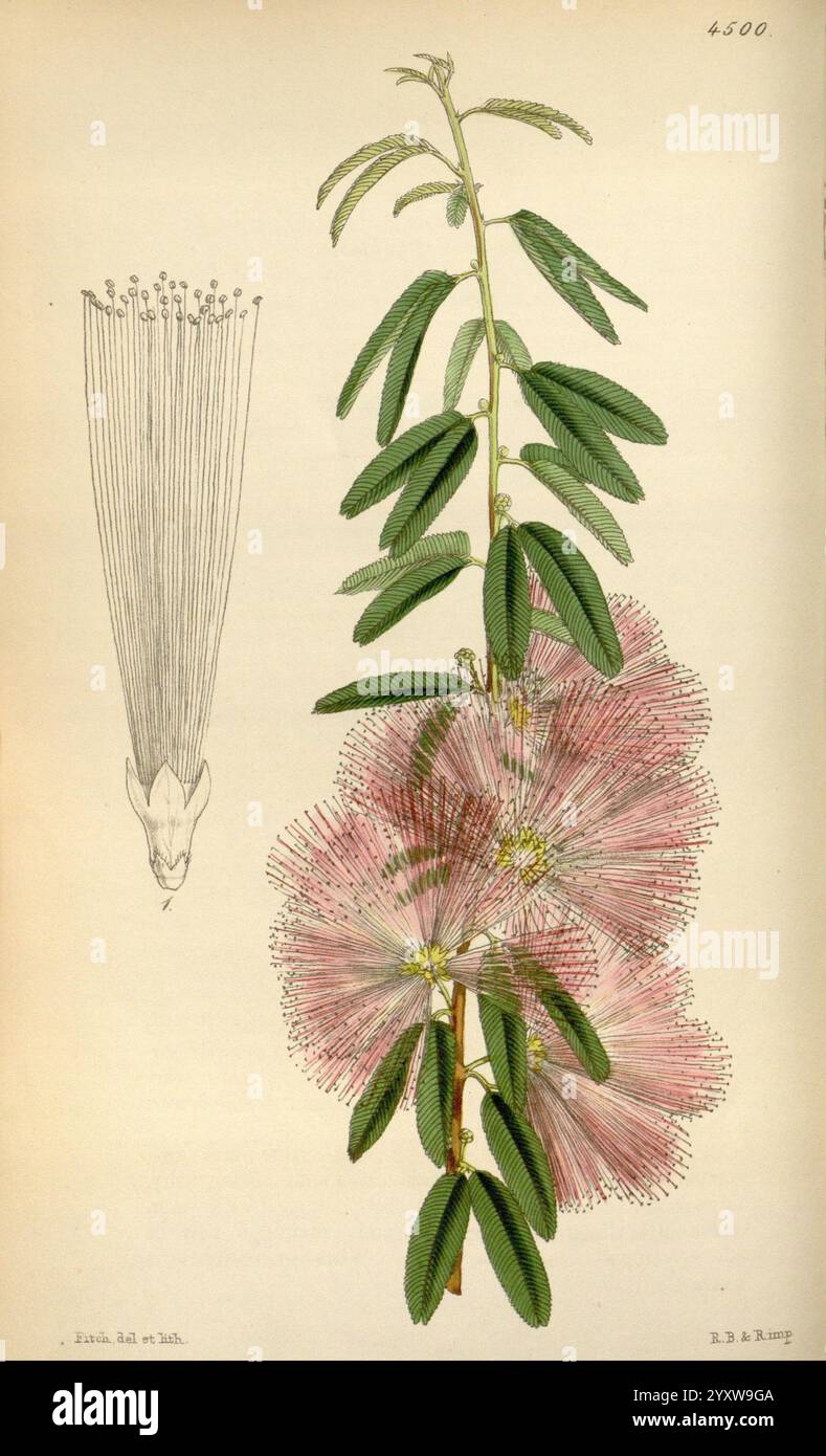 Numerical label indicates hi-res stock photography and images - Alamy