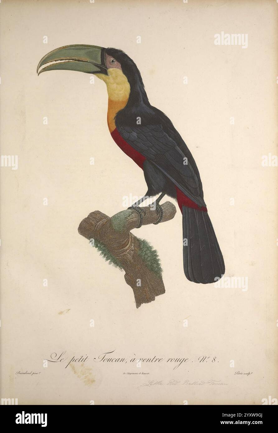 Body language hint hi-res stock photography and images - Alamy