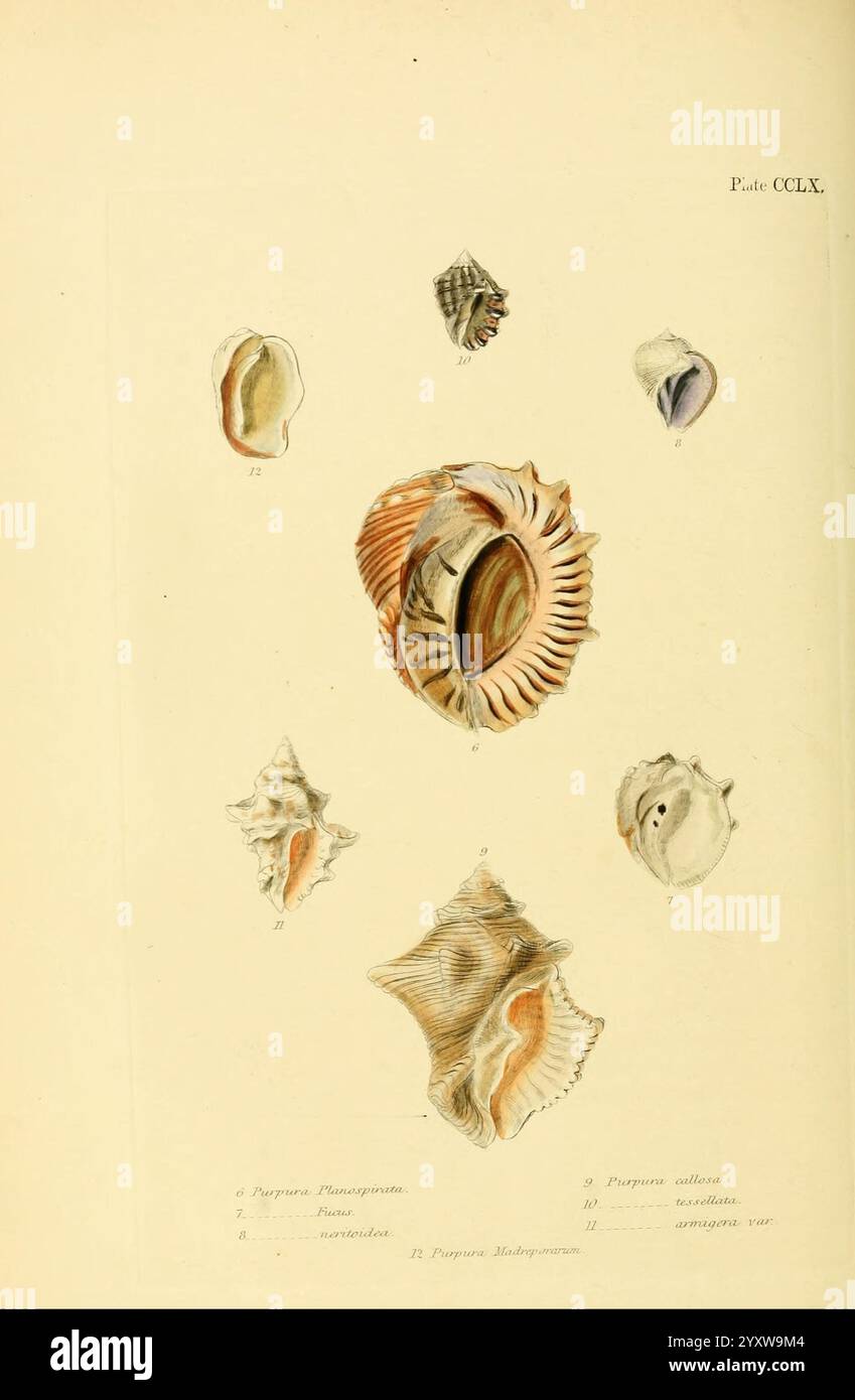 Artwork thoughtfully labels hi-res stock photography and images - Alamy