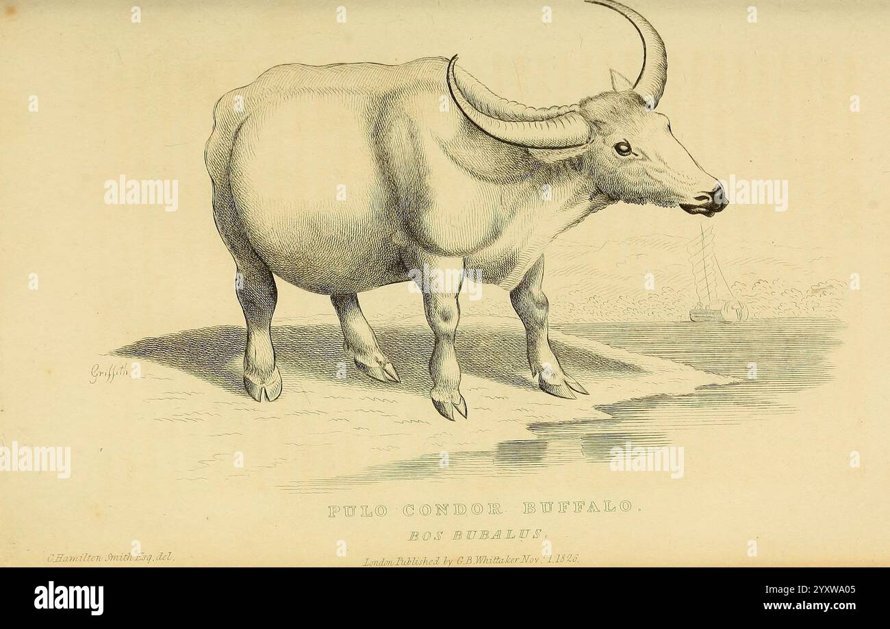 The animal kingdom, London, Printed for G.B. Whittaker, 1827-1835 ...