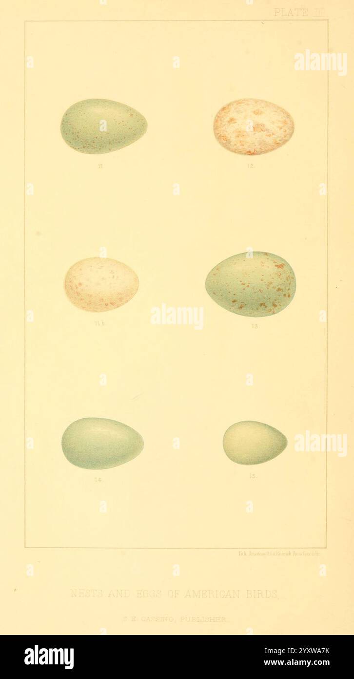 Three distinct pairs hi-res stock photography and images - Alamy