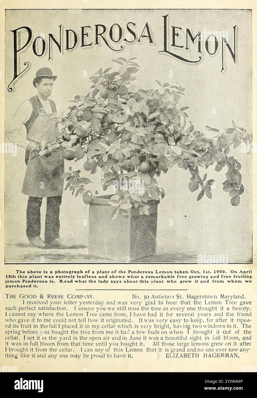 Prominently written hi-res stock photography and images - Alamy