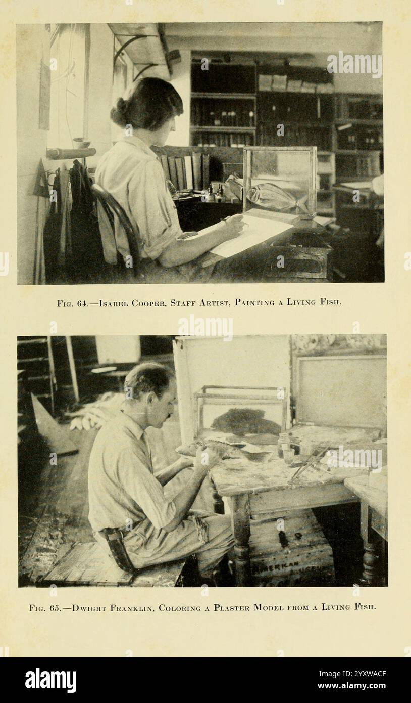 The Arcturus adventure, New York, 1926, Galapagos Islands, Marine ...