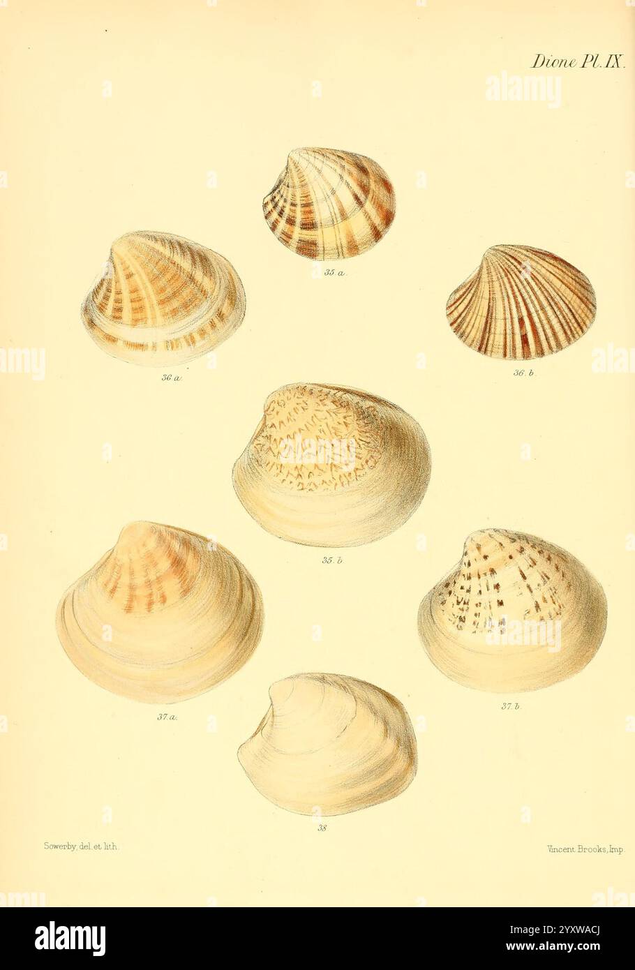 Numerical labels next hi-res stock photography and images - Alamy