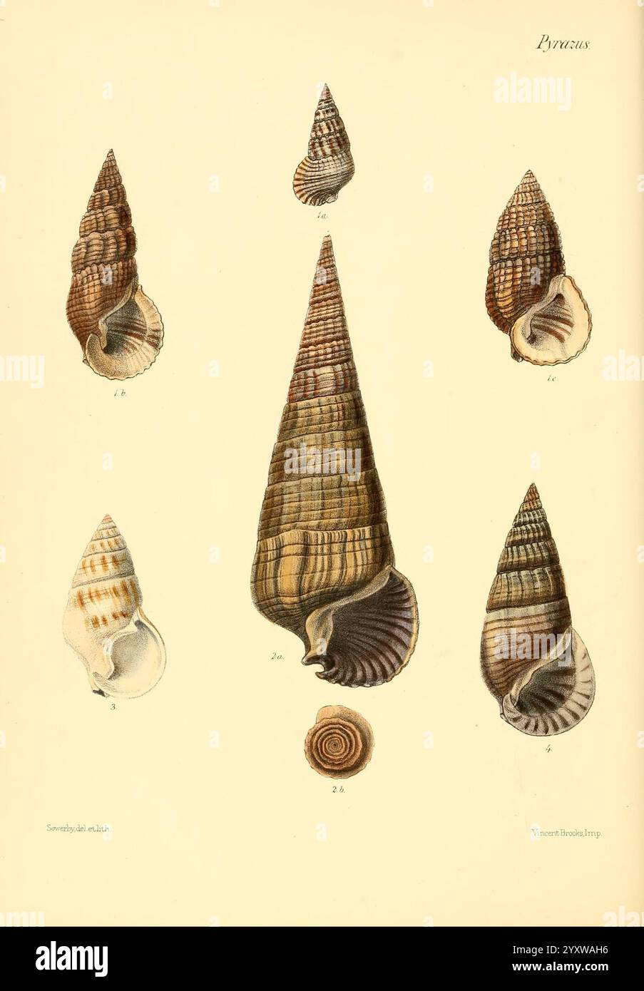 Featuring spiral structures hi-res stock photography and images - Alamy