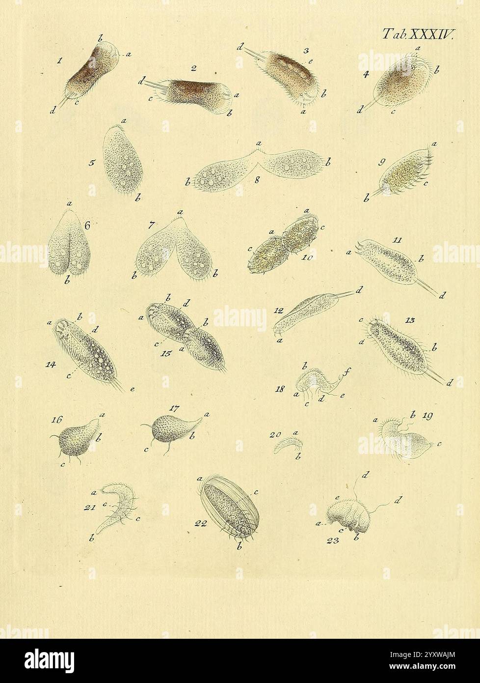 Annotation labels hi-res stock photography and images - Alamy